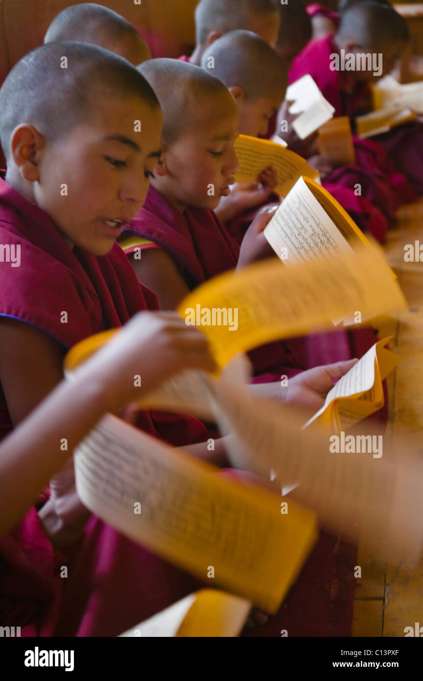 Buddhist monk reading scripture hi-res stock photography and images - Alamy