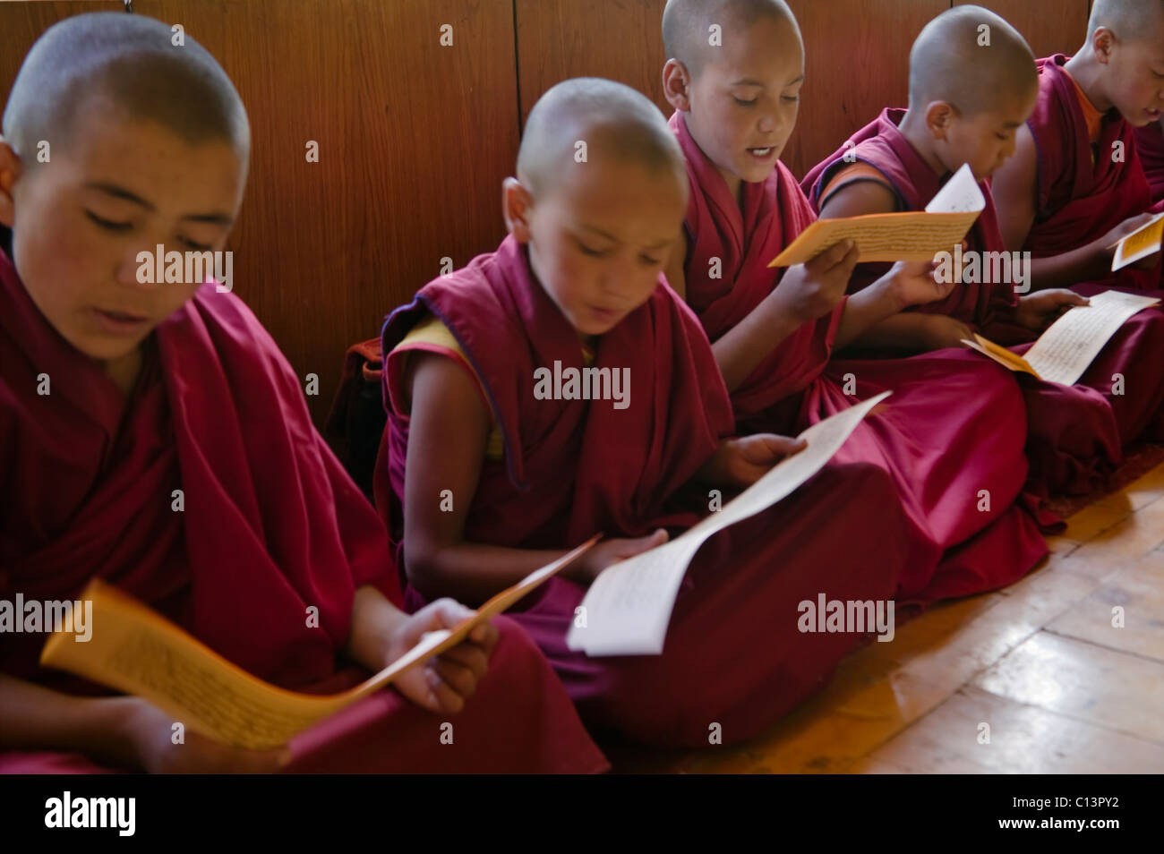 Buddhist monk reading scripture hi-res stock photography and images - Alamy