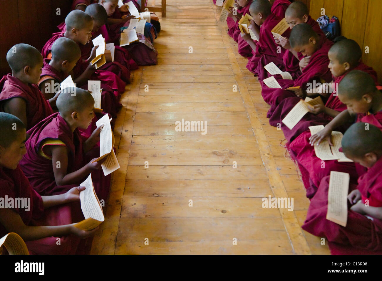 Buddhist monk reading scripture hi-res stock photography and images - Alamy