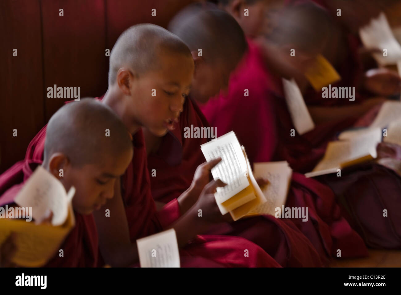 Buddhist monk reading scripture hi-res stock photography and images - Alamy