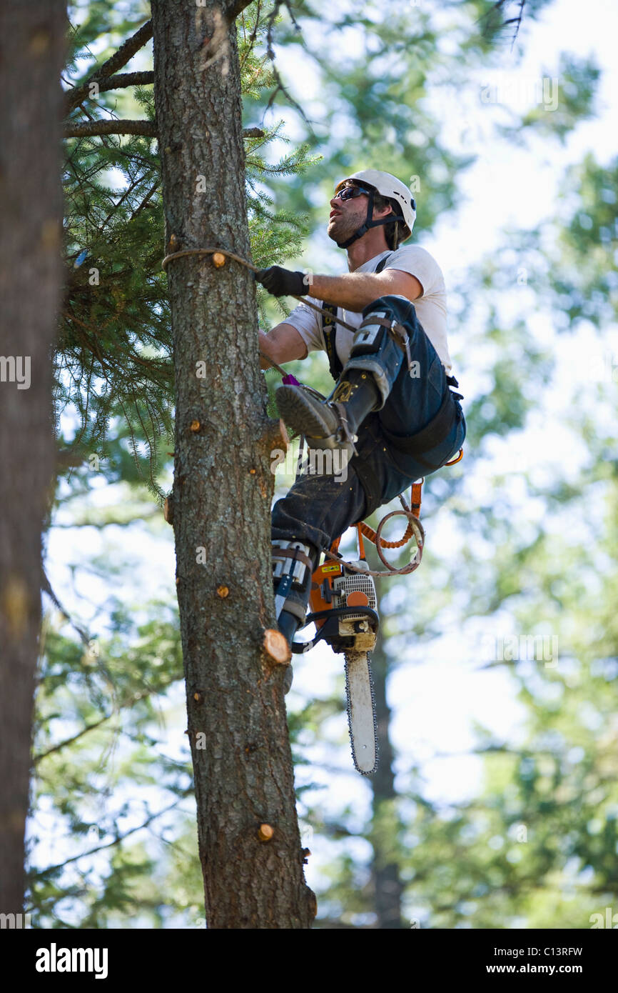 Lumberjack man saw climb hi-res stock photography and images - Alamy