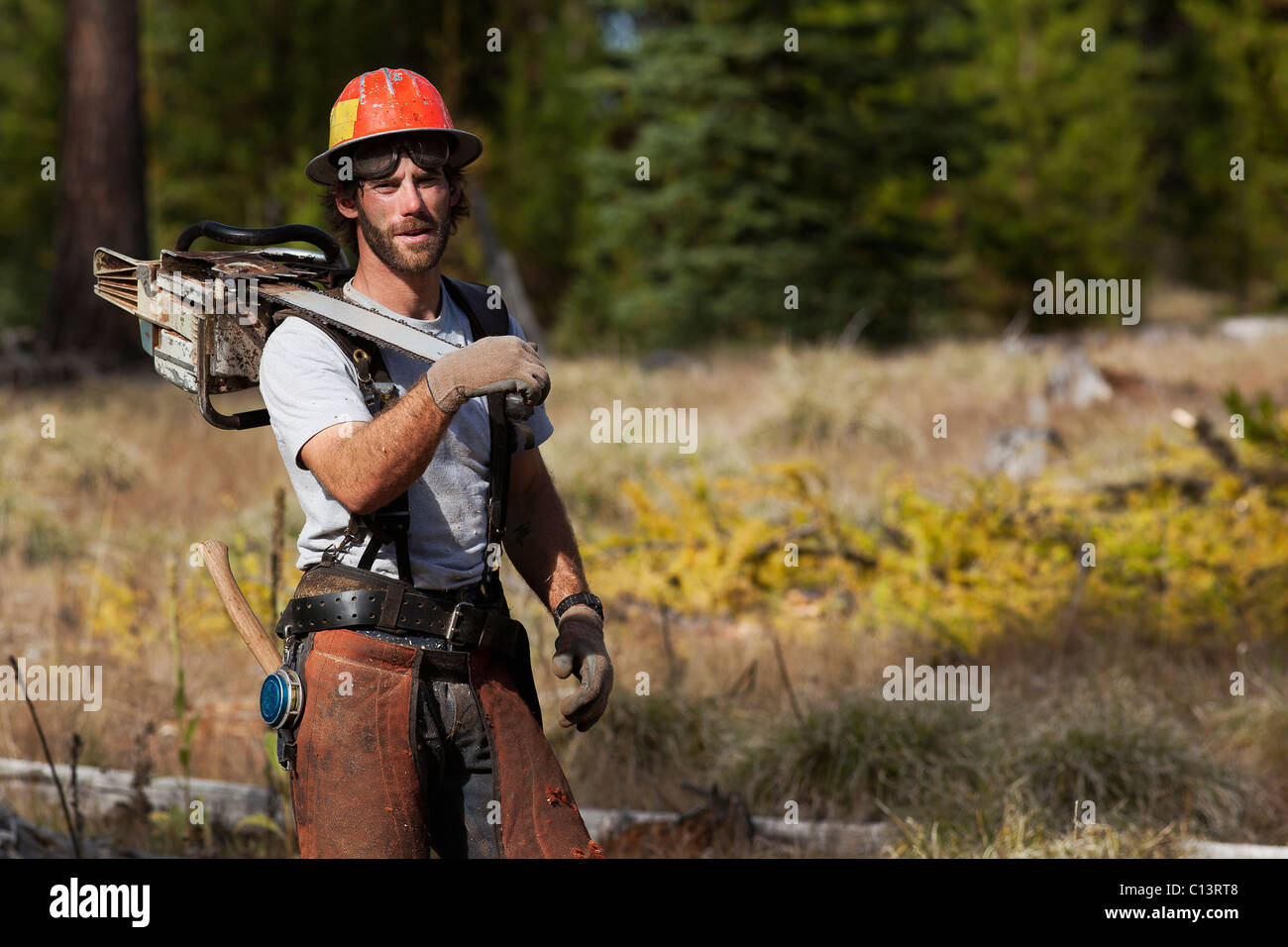 Lumberjack hi-res stock photography and images - Alamy