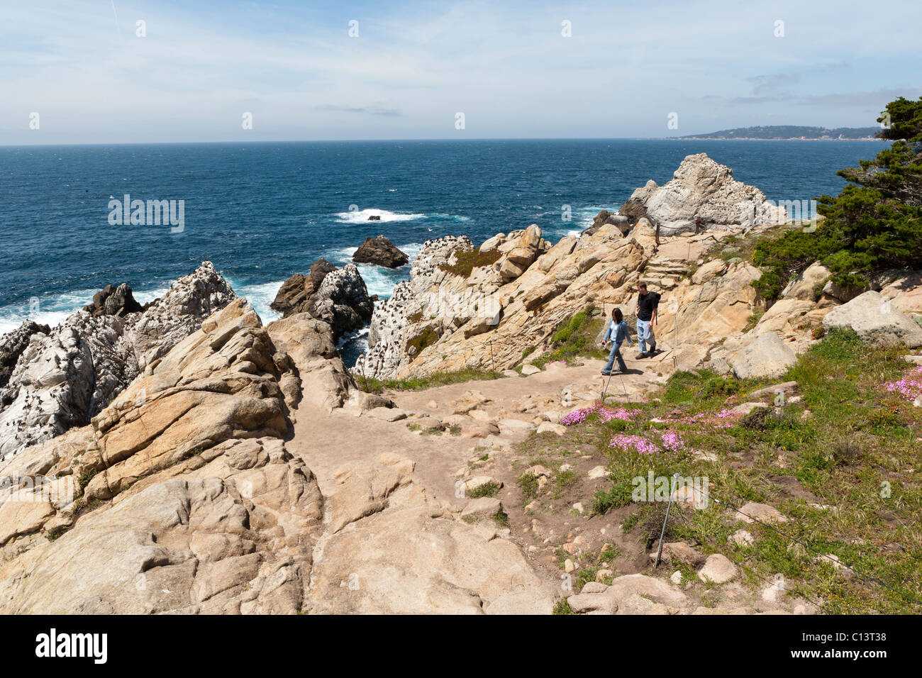 Point Lobos State Reserve; Cypress Grove Trail, near Carmel, California ...