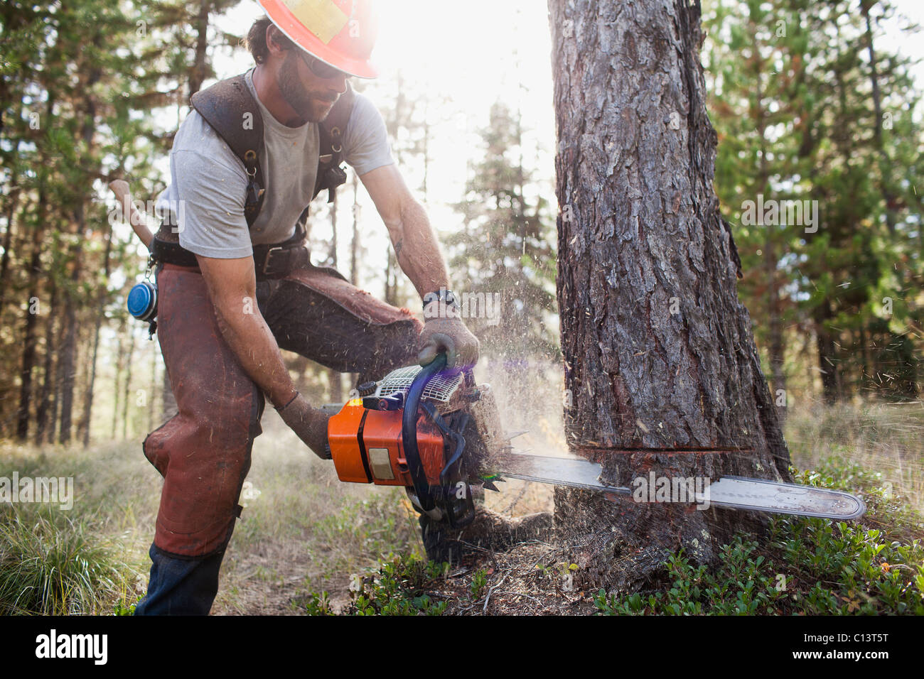 Lumberjack hi-res stock photography and images - Alamy