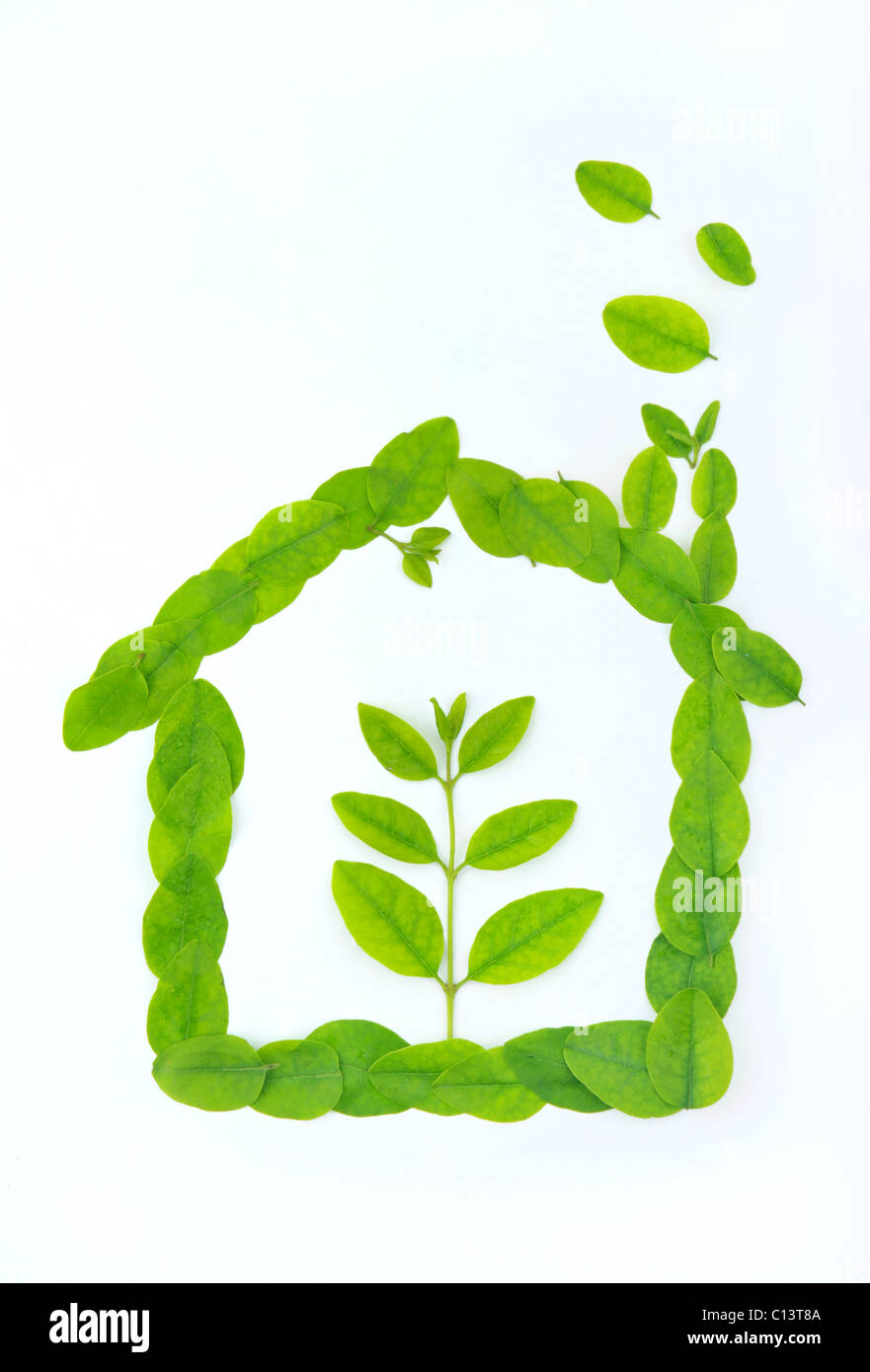 House made of green leaves Stock Photo - Alamy