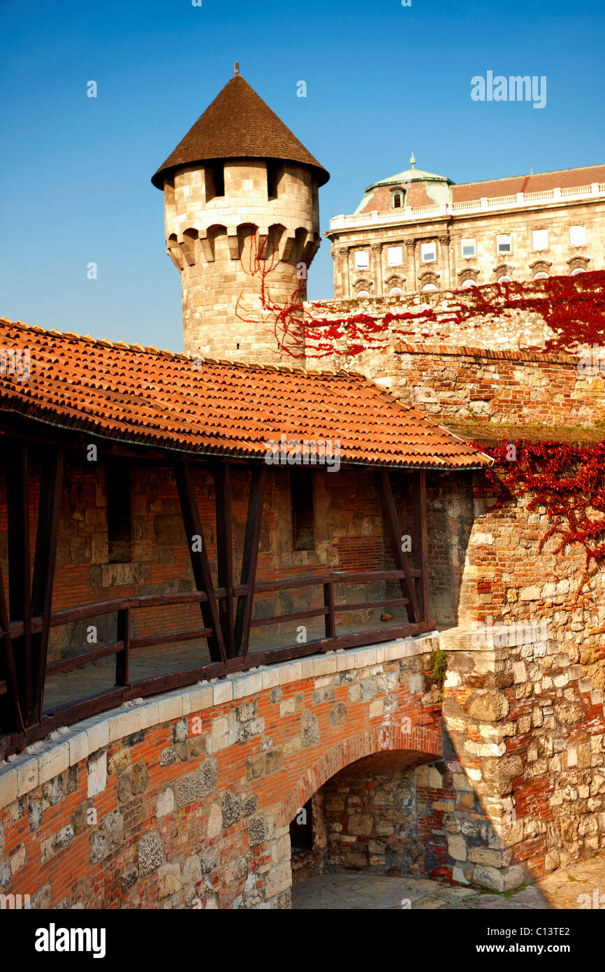 Buda Castle walls & fortifications, Budapest, Hungary Stock Photo - Alamy