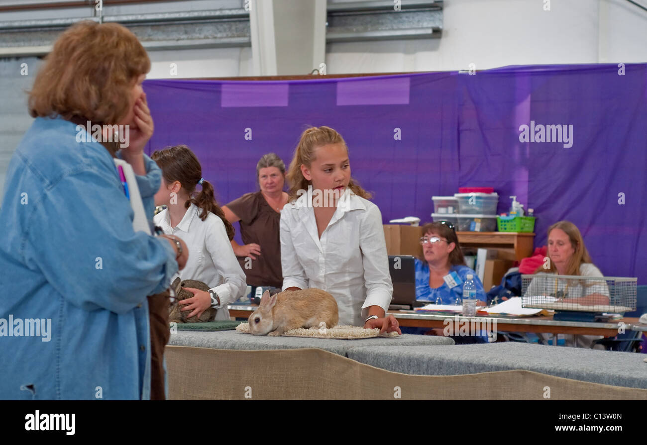 Shows a 4H rabbit show with pre-teen girls being judged while showing ...
