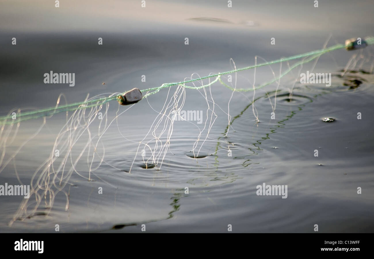 Fishnet High Resolution Stock Photography and Images - Alamy