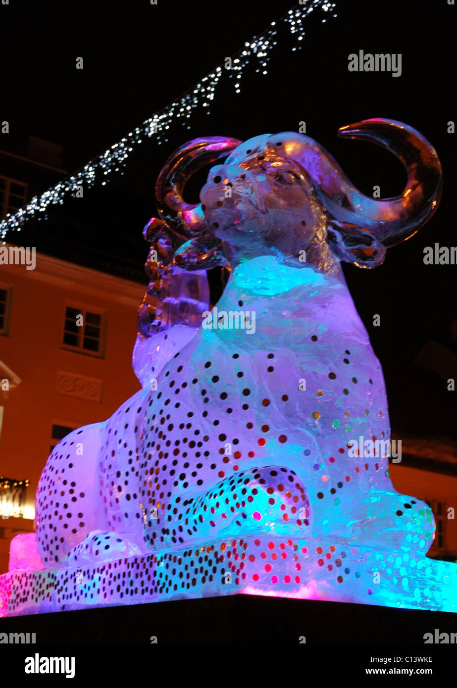 carved illuminated ice statue of buffalo at night Stock Photo - Alamy