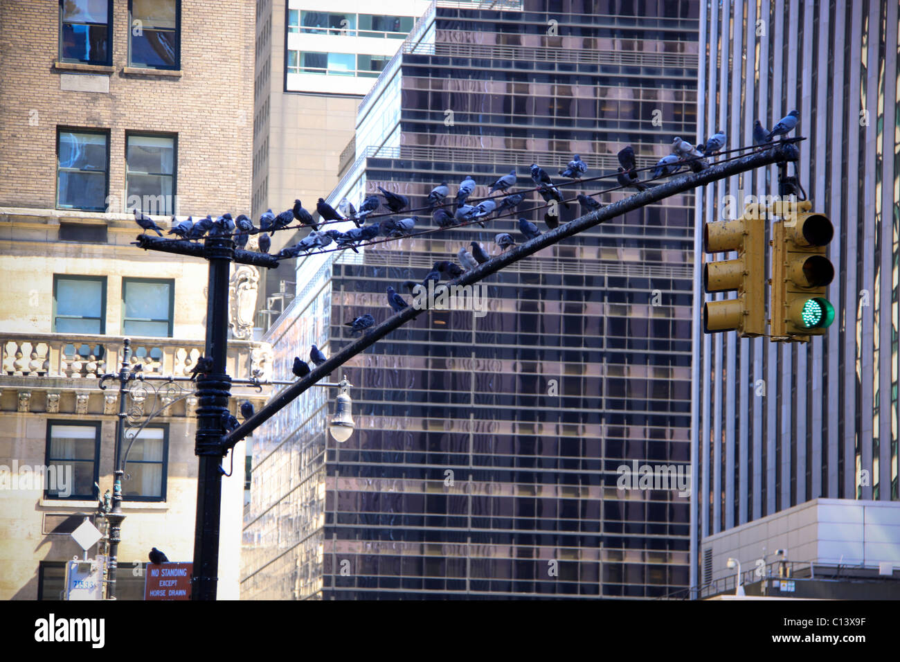 Traffic Lights, Manhattan, New York, USA Stock Photo - Alamy
