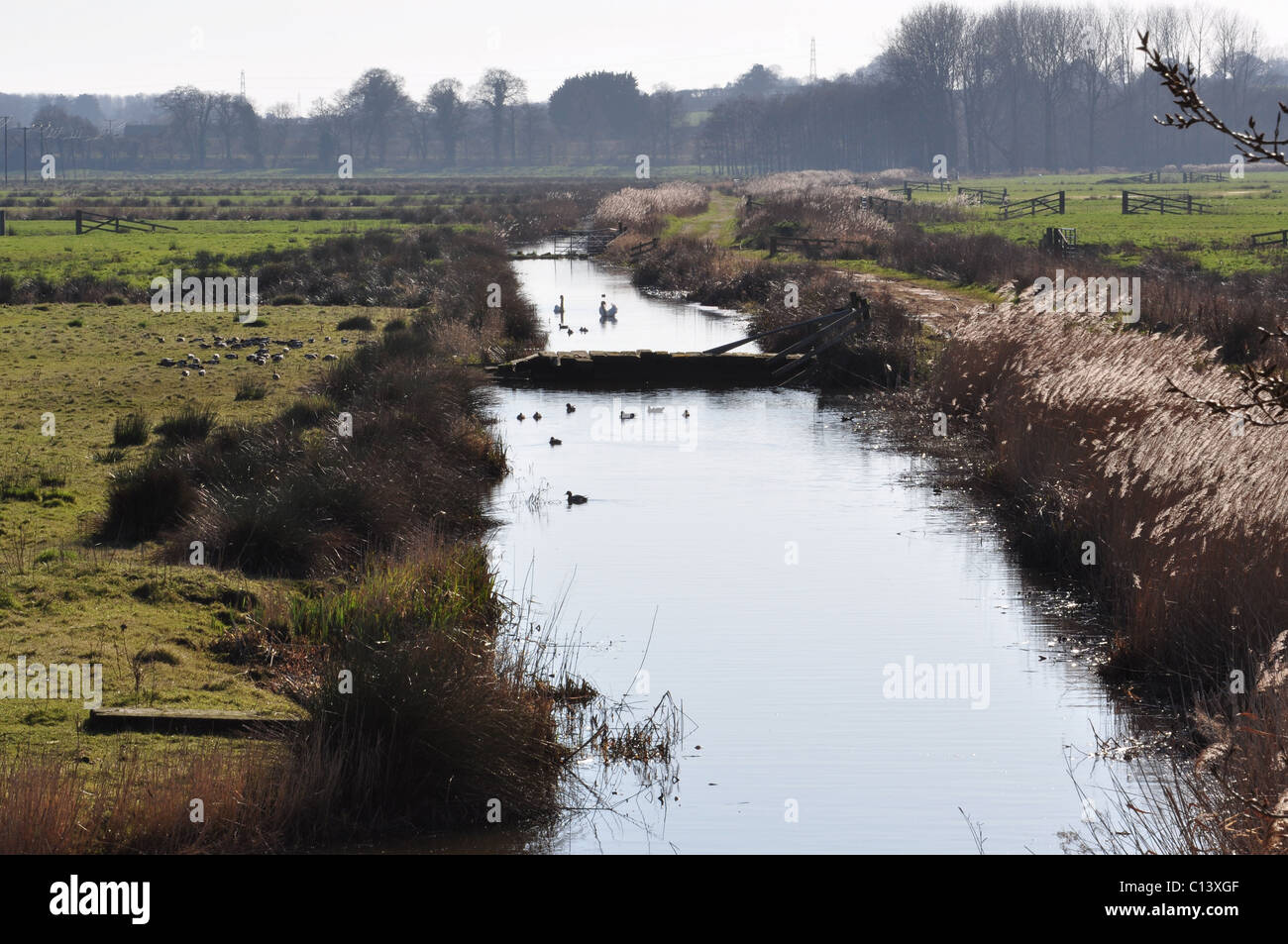 Claxton hi-res stock photography and images - Alamy