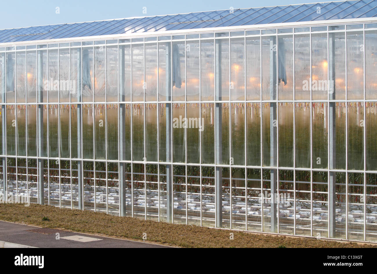 Thanet earth greenhouse hi-res stock photography and images - Alamy