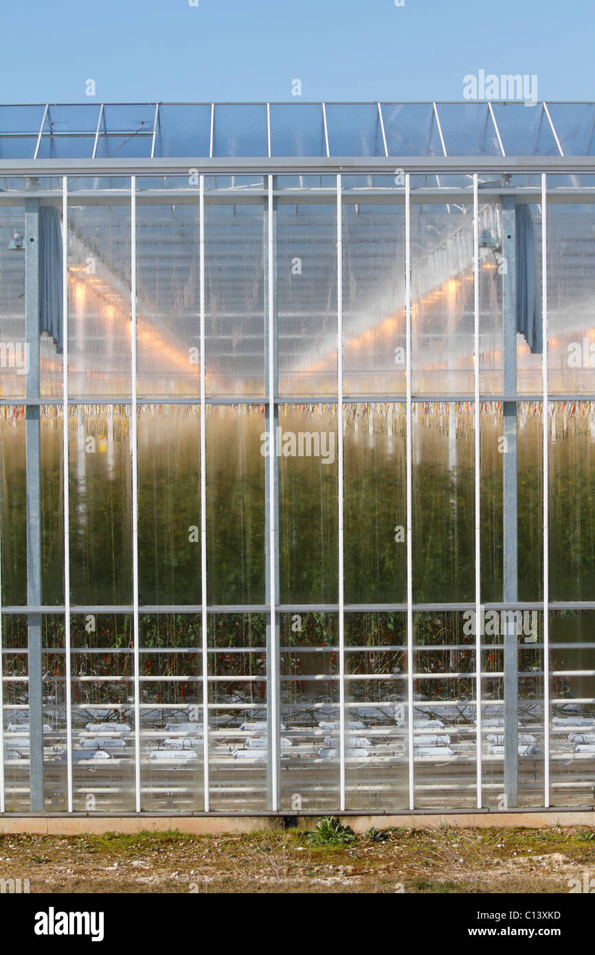 Thanet earth greenhouses hi-res stock photography and images - Alamy