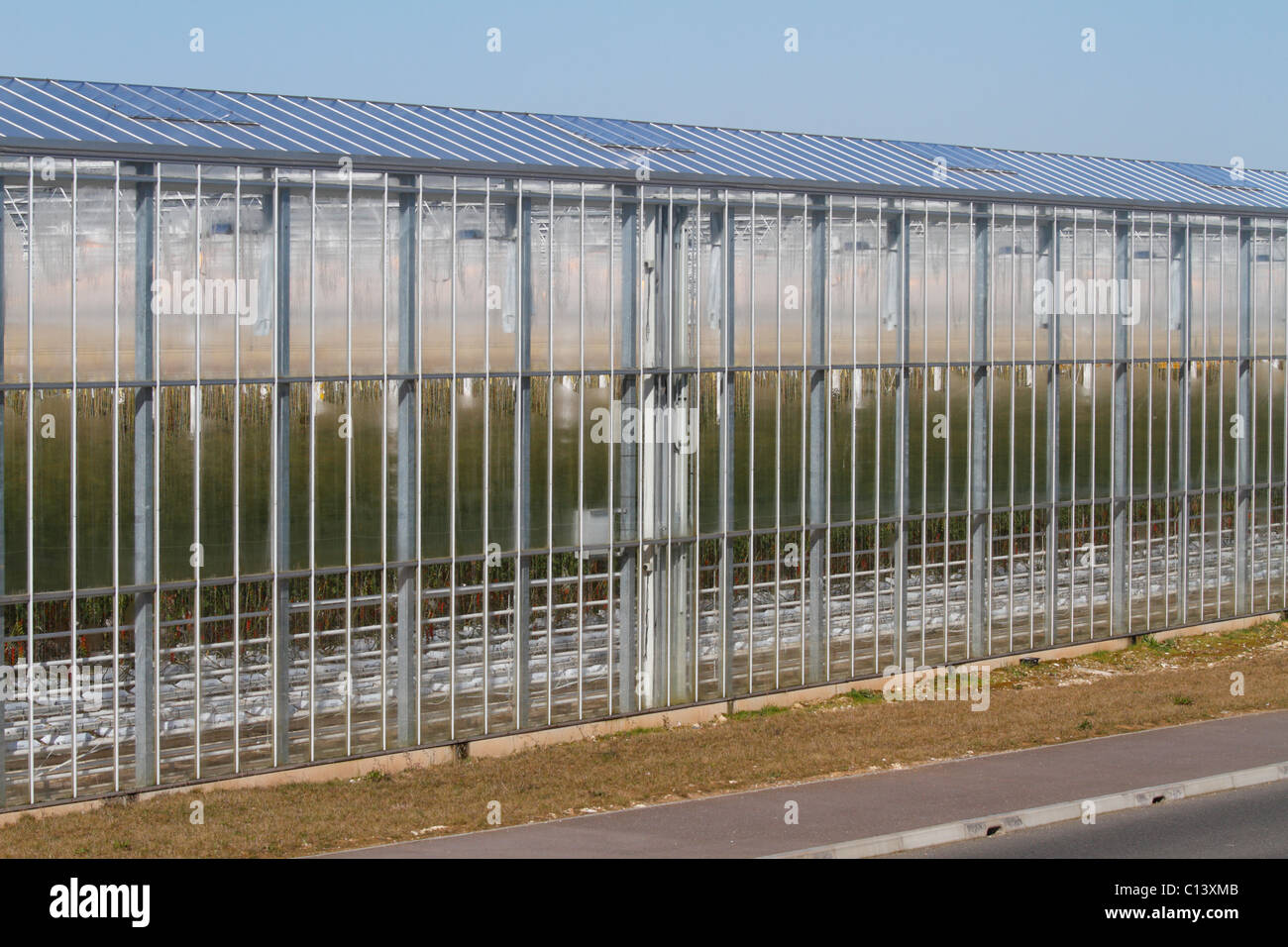 Thanet earth greenhouses hi-res stock photography and images - Alamy