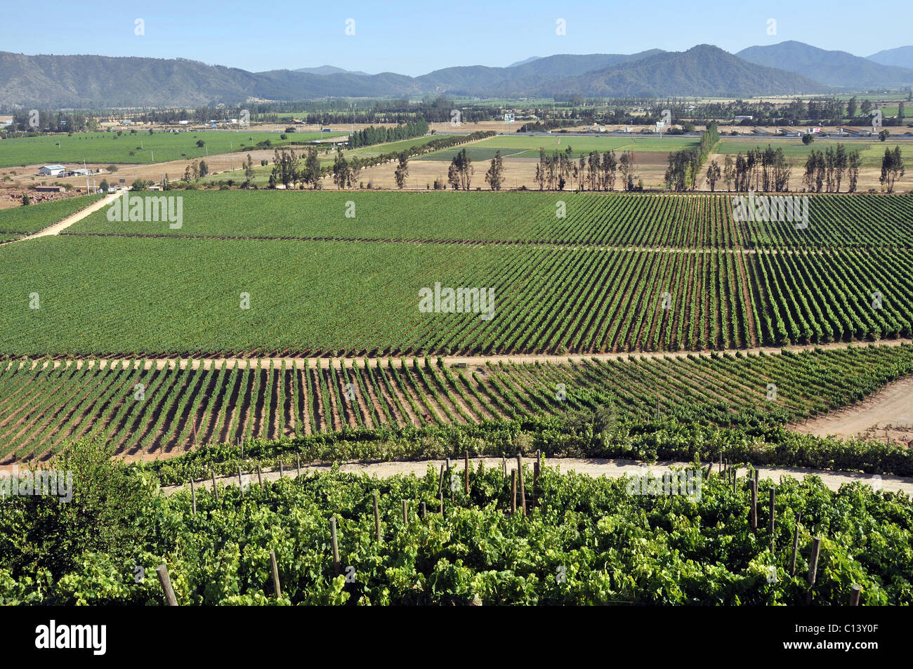Casablanca valley vineyard chile hi-res stock photography and images ...