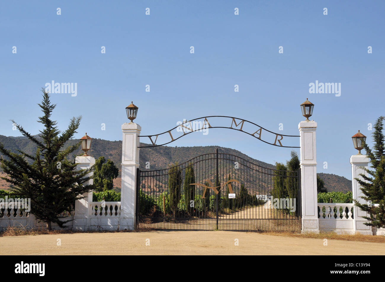 Vina Mar vineyard Casablanca valley Chile South America Stock Photo - Alamy