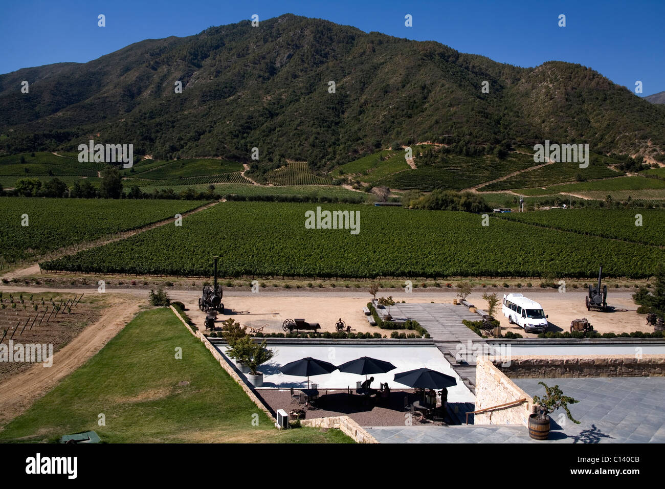 vina Montes Vineyard Colchagua valley Chile Stock Photo - Alamy