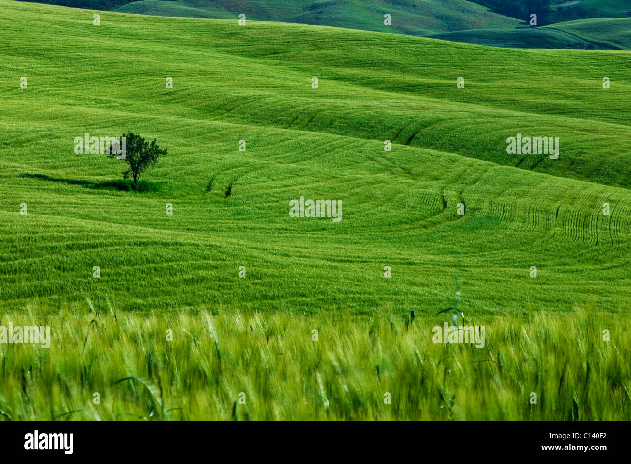 Rolling countryside hi-res stock photography and images - Alamy