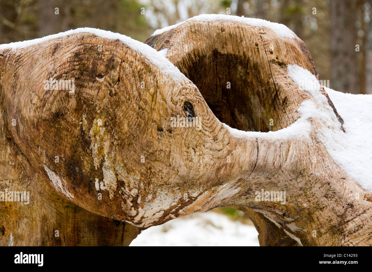 Castletown caithness hi-res stock photography and images - Alamy