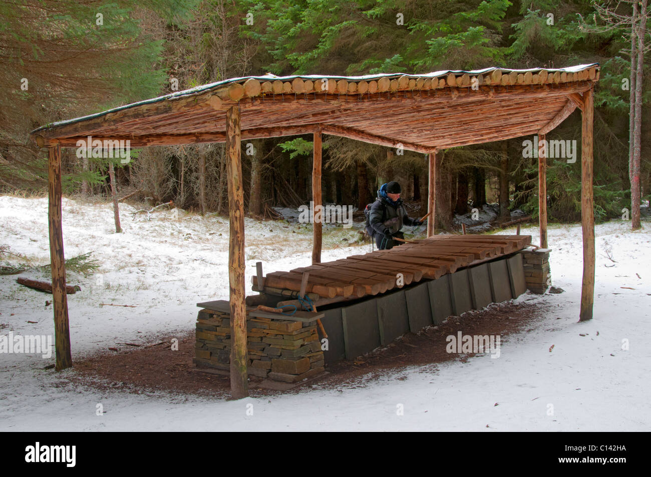 Giant Xylophone. A sculpture in Dunnet Forest, near Castletown ...