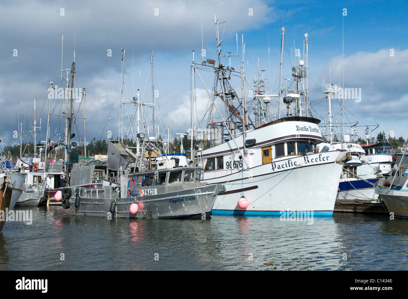 Fishing trawlers at Comox Marina, Comox,Comox Valley, Vancouver Island ...