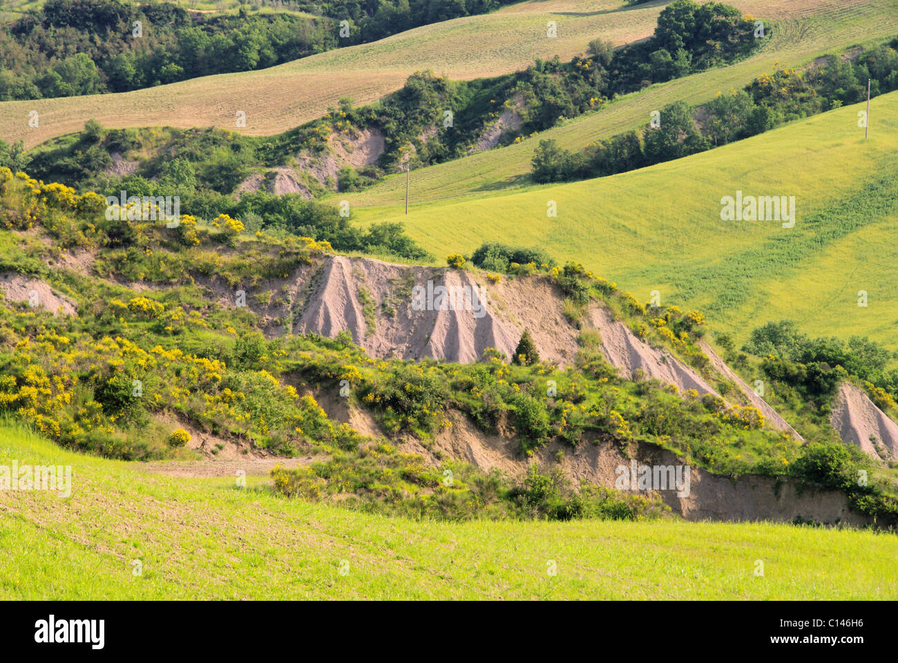 Crete Senesi 03 Stock Photo - Alamy