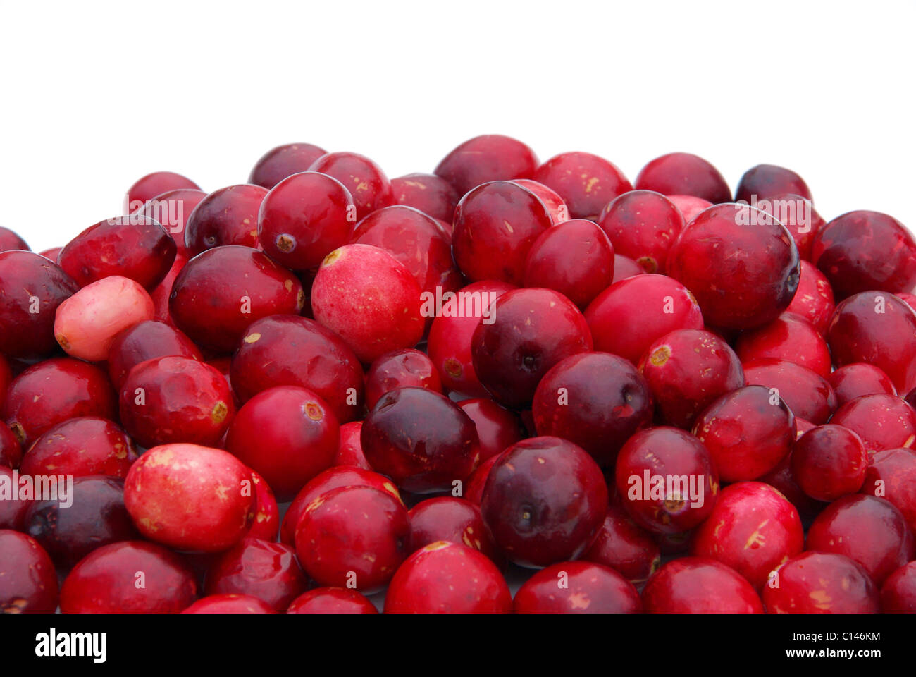 Mossberries hi-res stock photography and images - Alamy