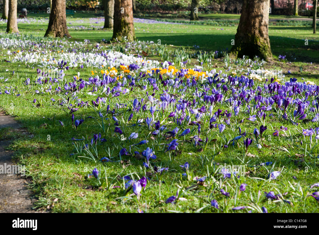 Spring hill house hi-res stock photography and images - Alamy