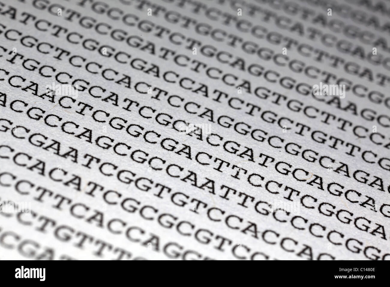 Human Dna Code