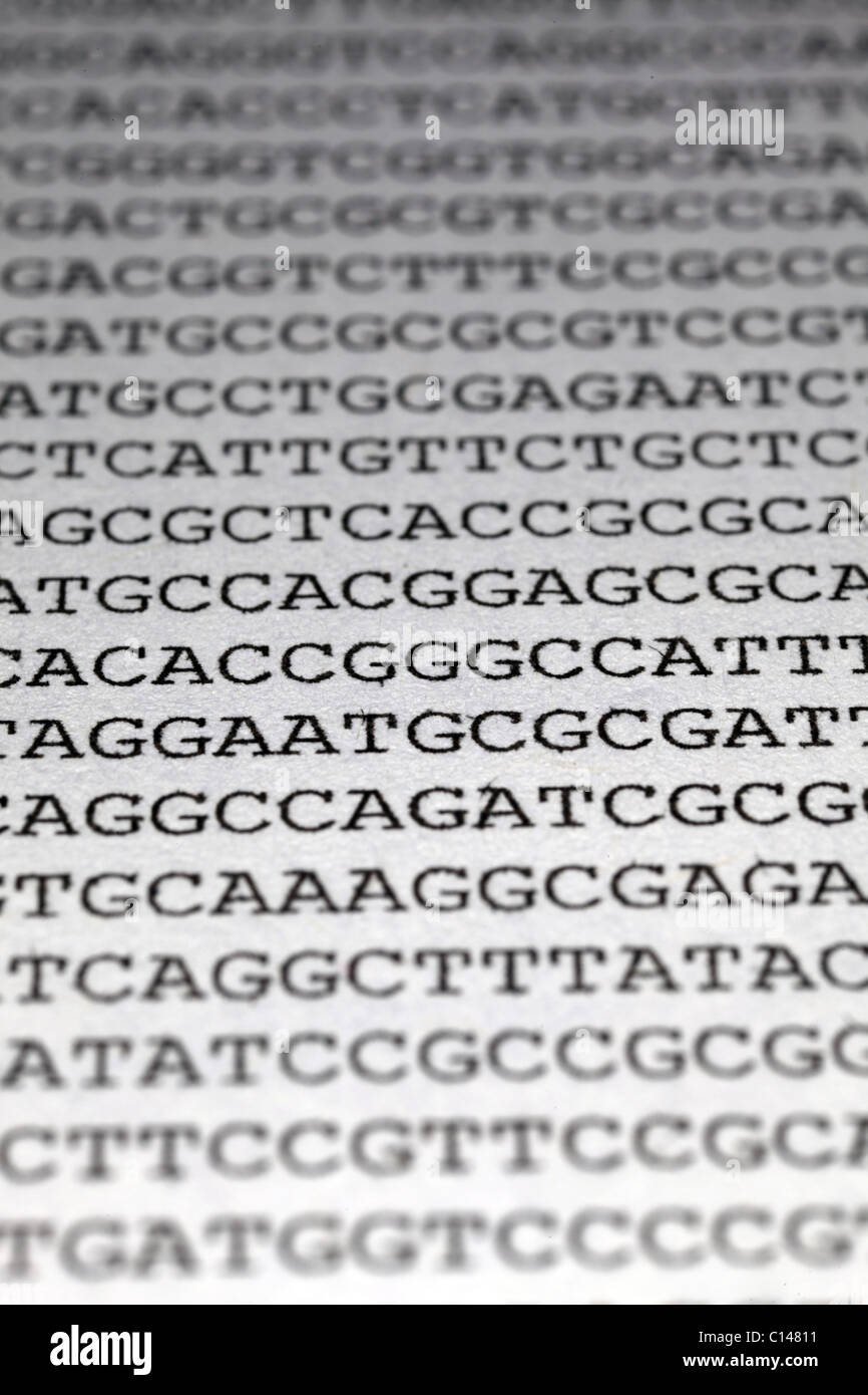 Sequence of gene bases hi-res stock photography and images - Alamy