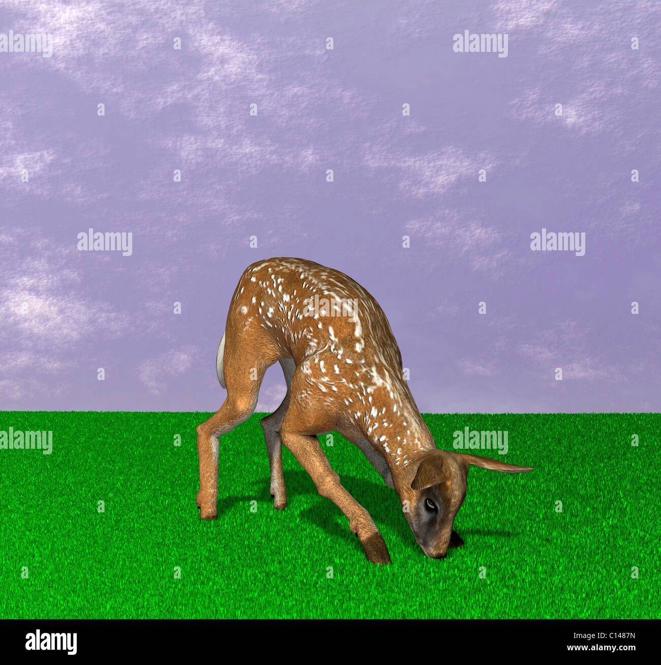 Fawn illustration hi-res stock photography and images - Alamy
