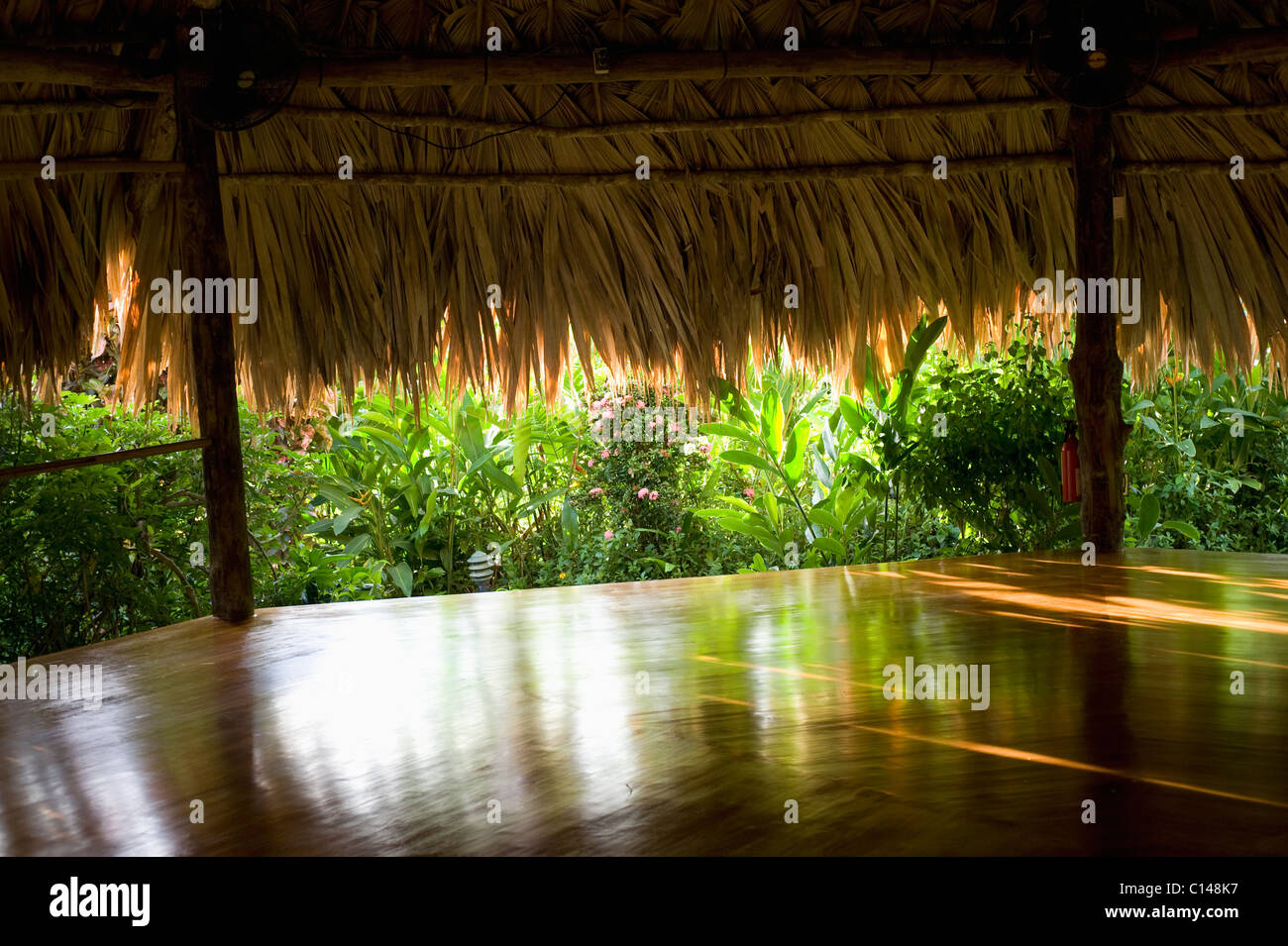 Jungle Hut Interior
