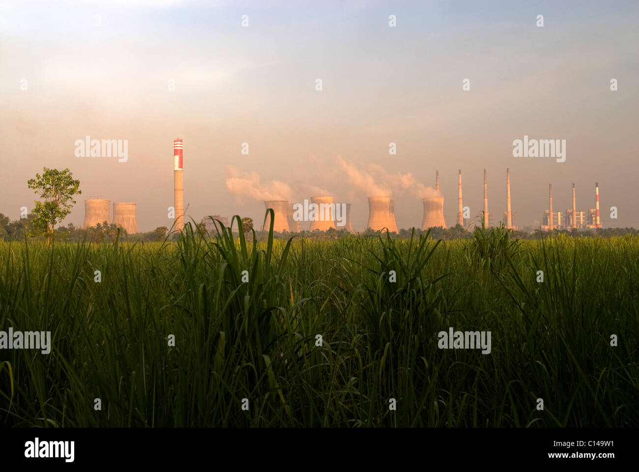 Neyveli hi-res stock photography and images - Alamy