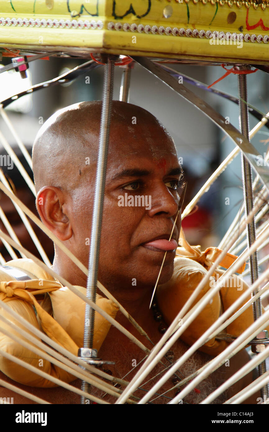 A Hindu devotee carrying a Kavadi during the festival of Thaipusam at ...