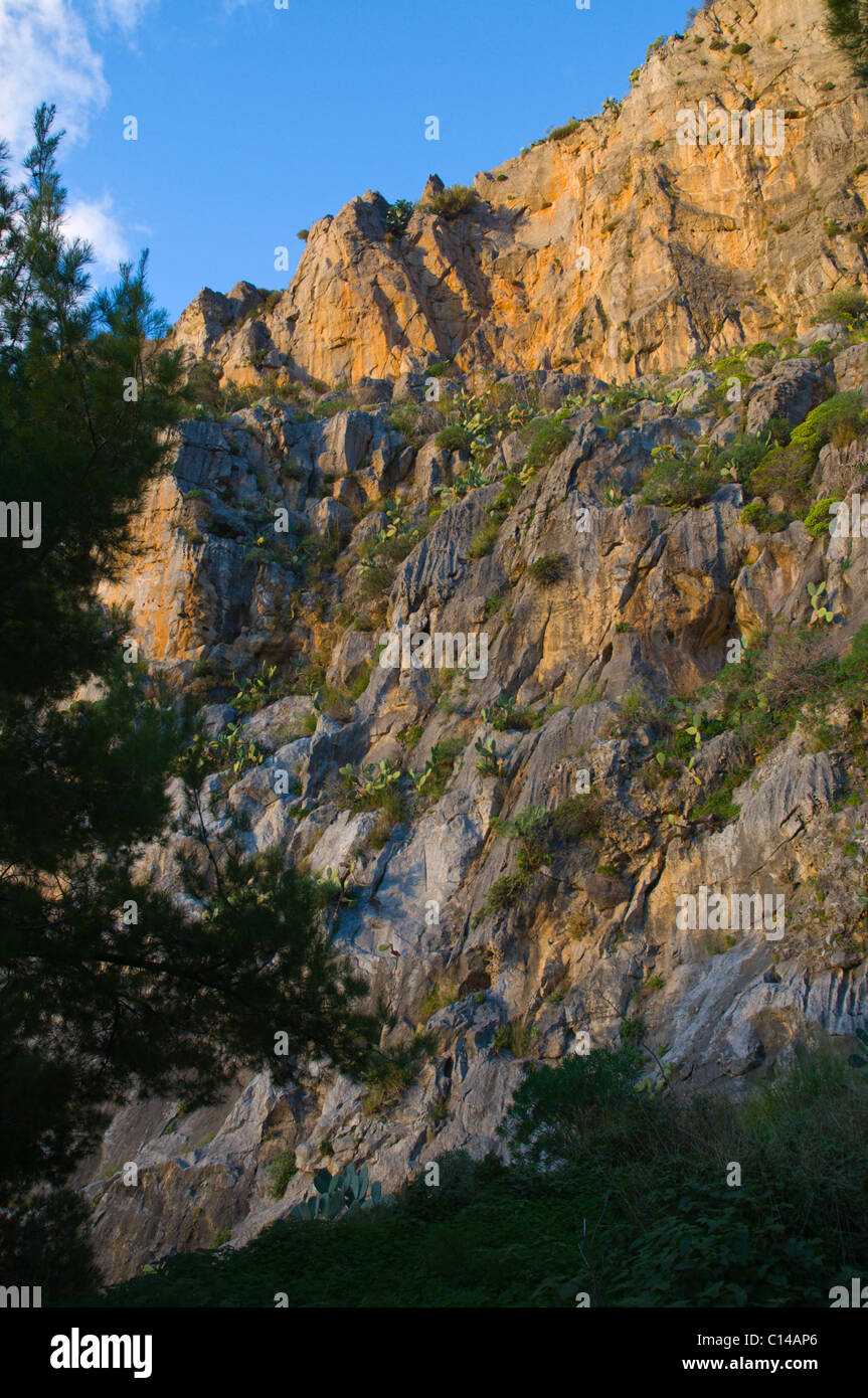 La Rocca rock detail Cefalu town Sicilia Italy Europe Stock Photo - Alamy