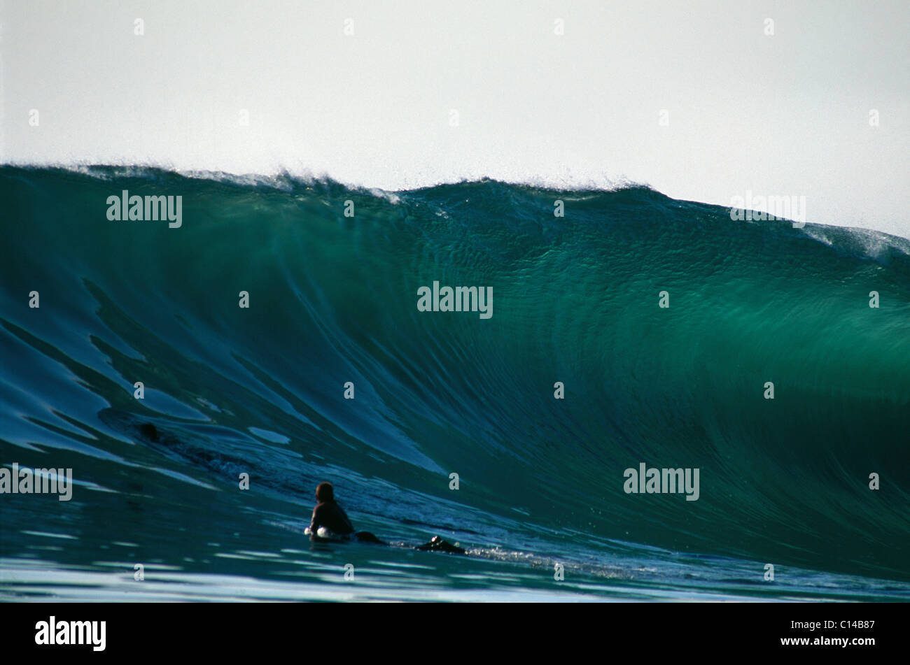 surfer watches a large ocean wave as it looms out of the depths ...