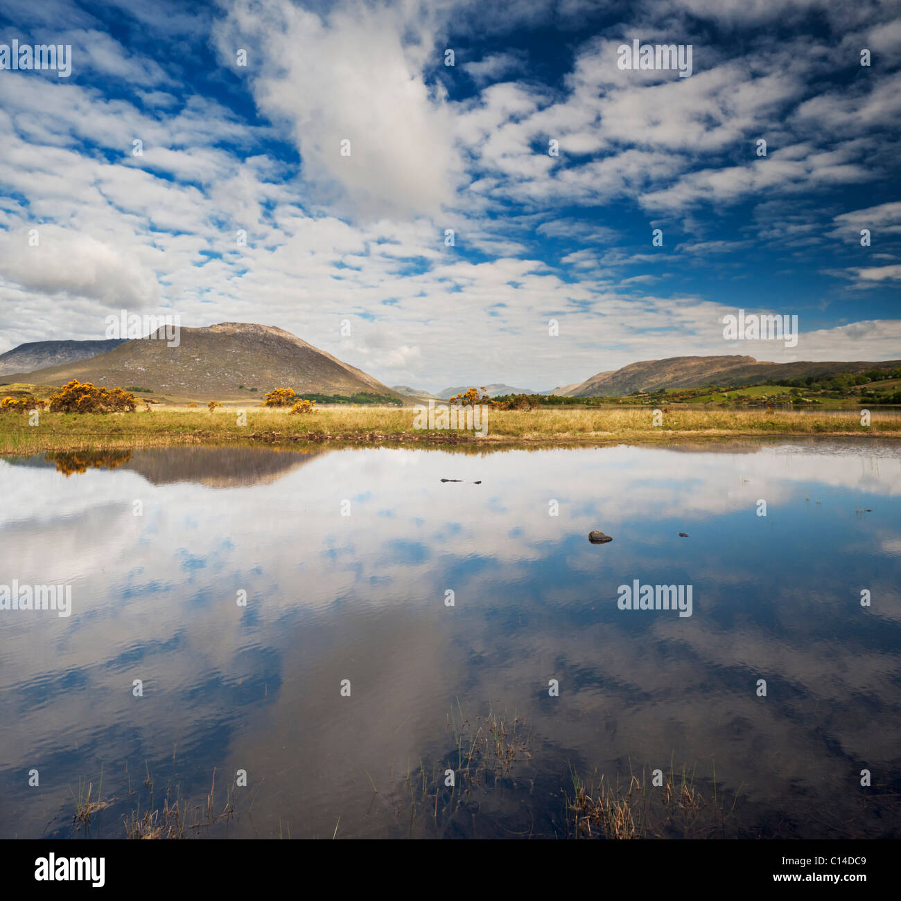 Galway Lake High Resolution Stock Photography and Images - Alamy