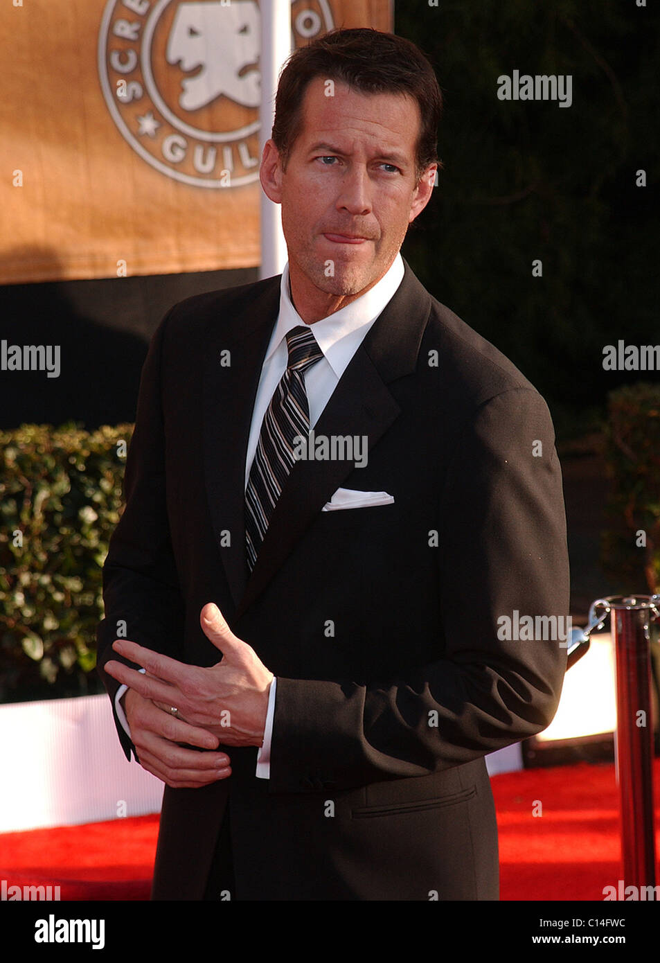 James Denton 15th Annual Screen Actors Guild Awards held at the Shrine Exposition Center ...