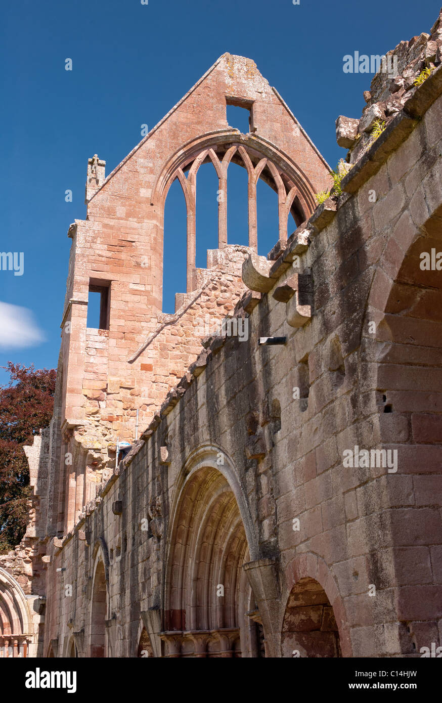 Dryburgh abbey hi-res stock photography and images - Alamy