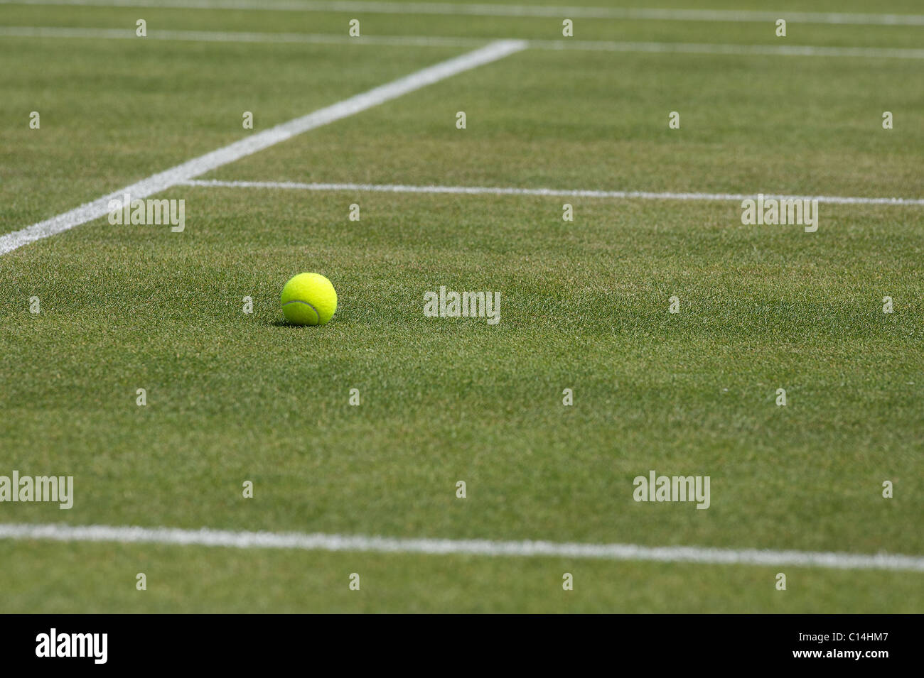 A ball sits on the grassed tennis court at the All England Lawn Tennis ...