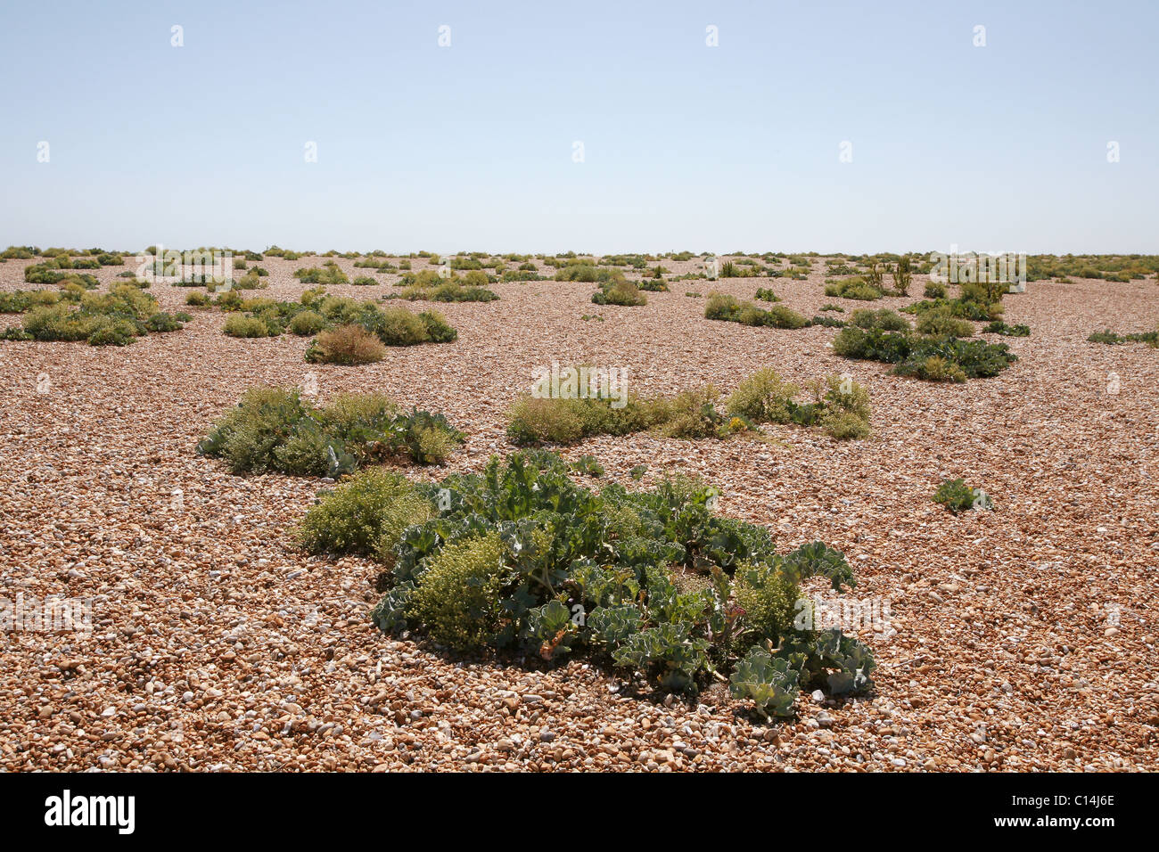 Kent shingle hi-res stock photography and images - Alamy