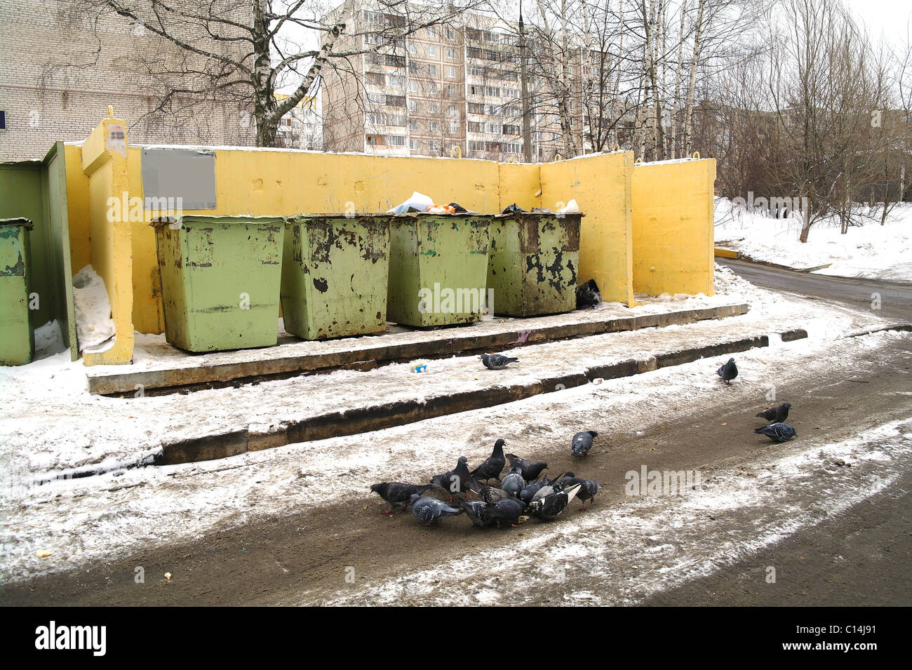 Garbage tanks about the house and pigeons in the winter, Moscow Region ...