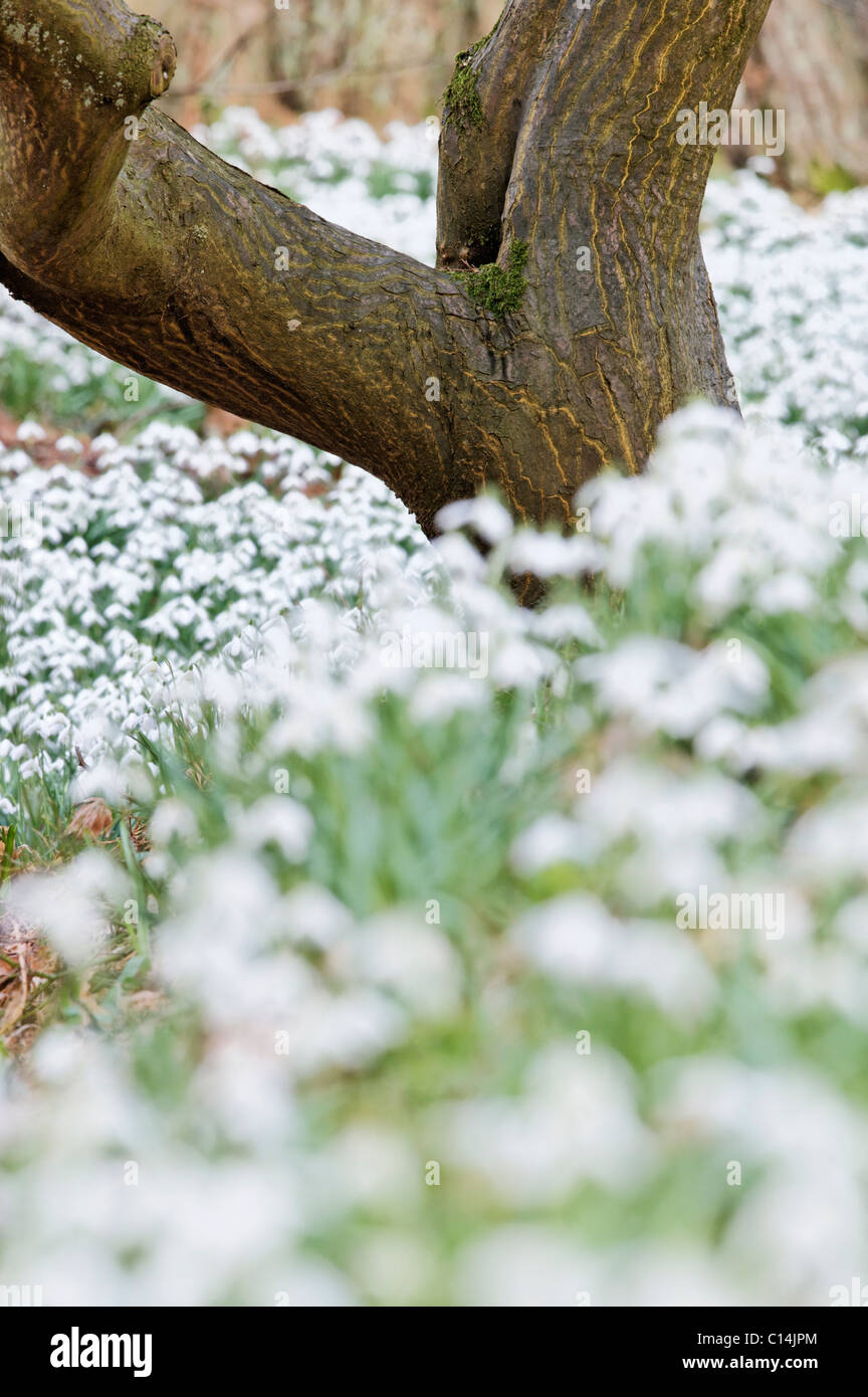 Gargunnock house hi-res stock photography and images - Alamy