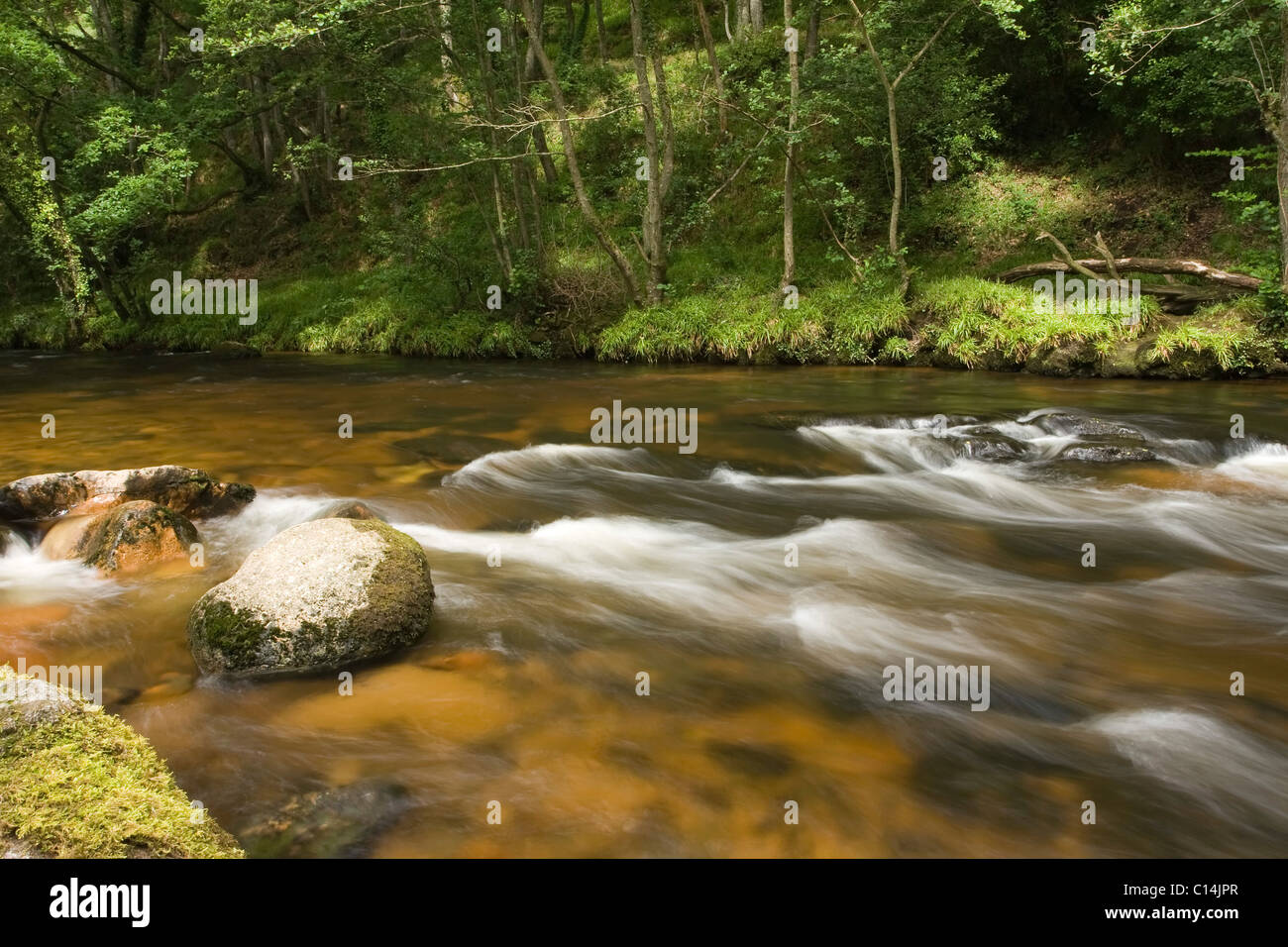 River teign walk hi-res stock photography and images - Alamy