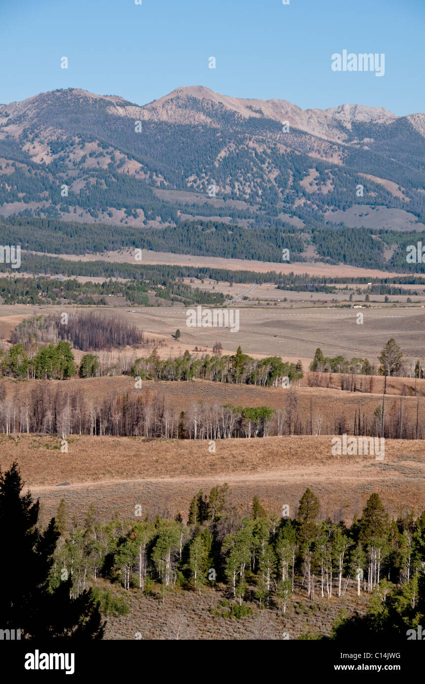 Stanley,Sawtooth Mountains,Sawtooth National Park,Forest,Home To Wolf ...