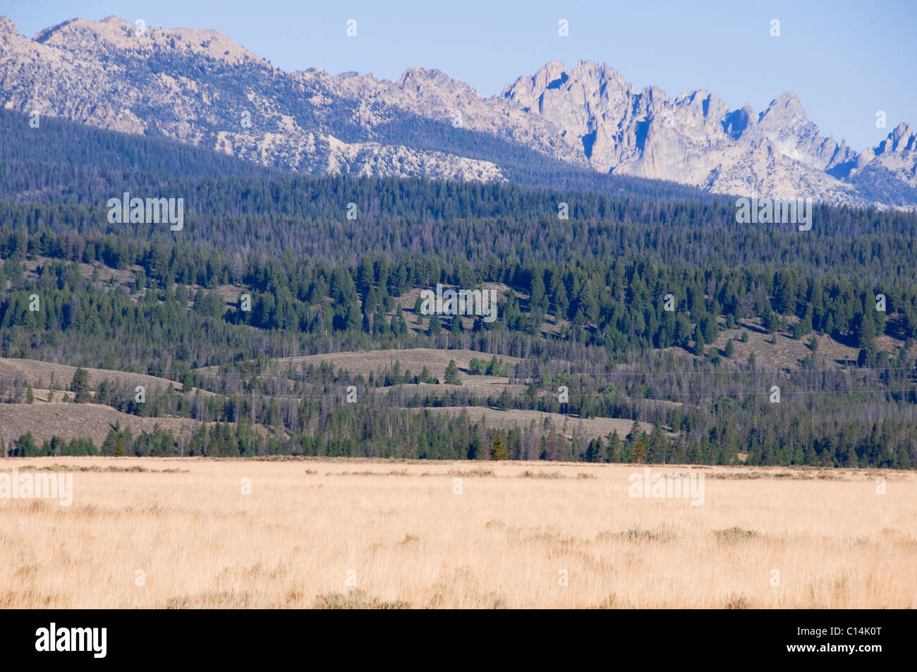 Stanley,Sawtooth Mountains,Sawtooth National Park,Forest,Home To Wolf ...