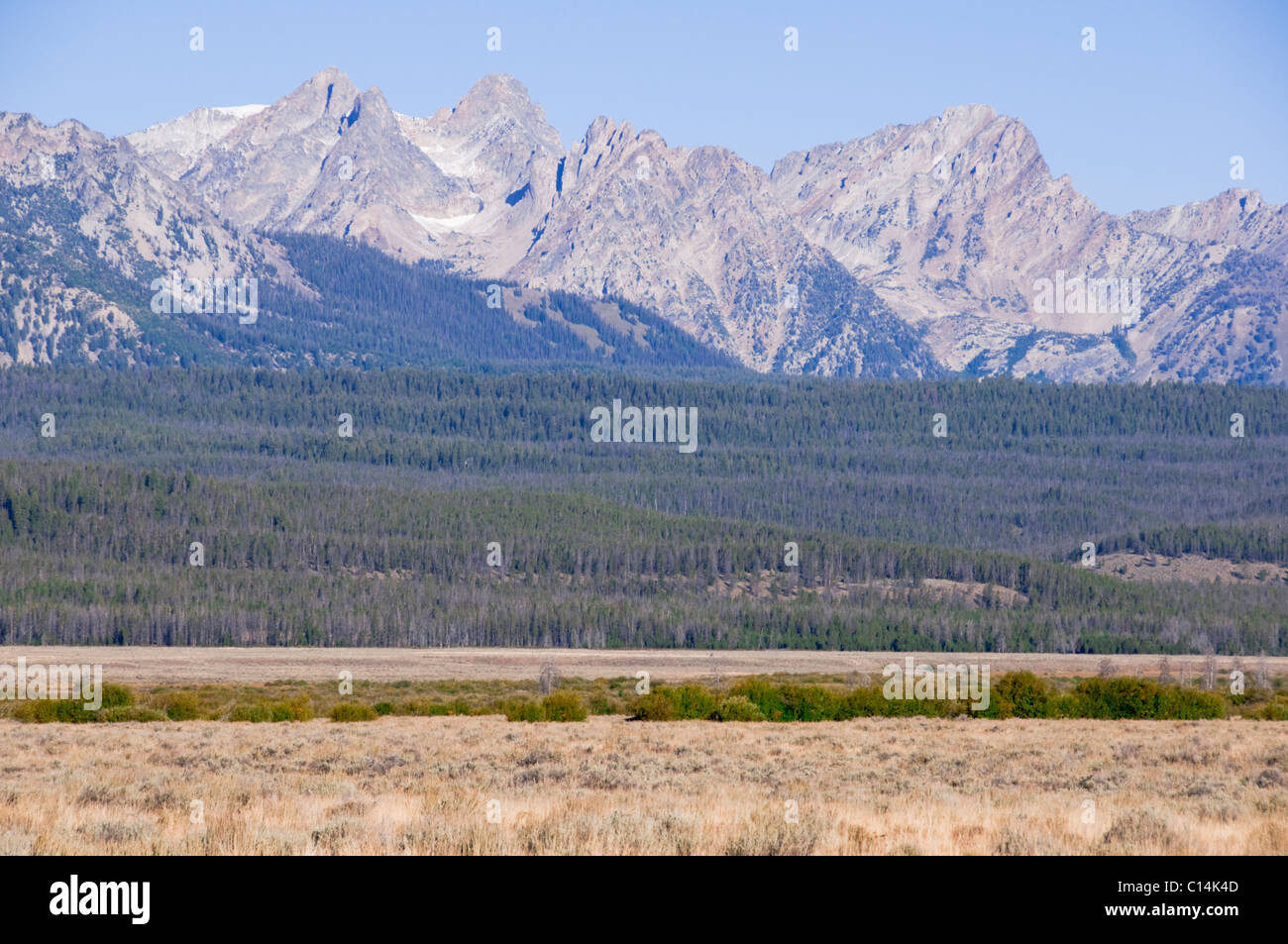 Stanley,Sawtooth Mountains,Sawtooth National Park,Forest,Home To Wolf ...