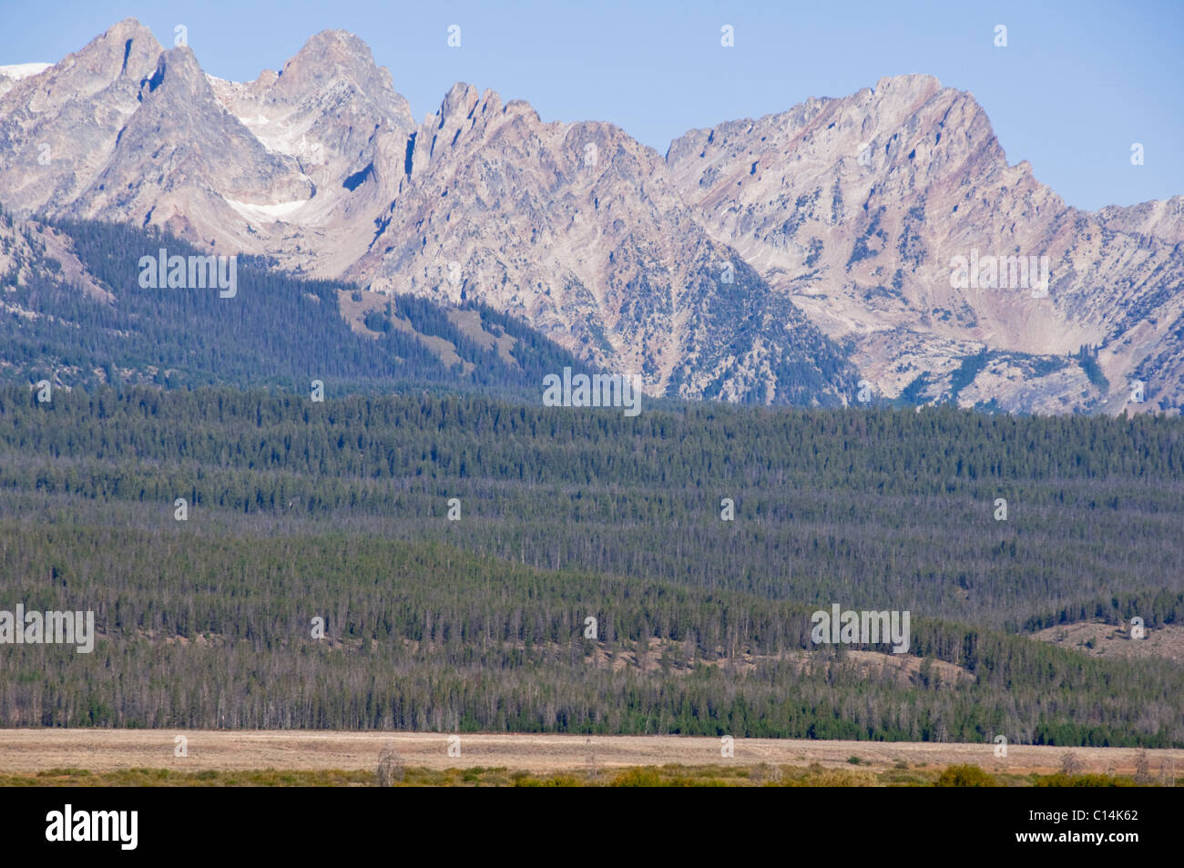 Stanley,Sawtooth Mountains,Sawtooth National Park,Forest,Home To Wolf ...
