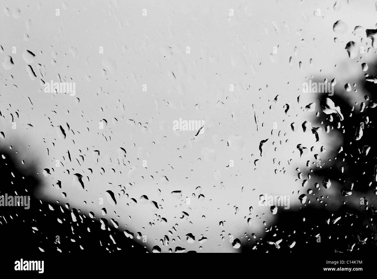 glass with water drops Stock Photo - Alamy