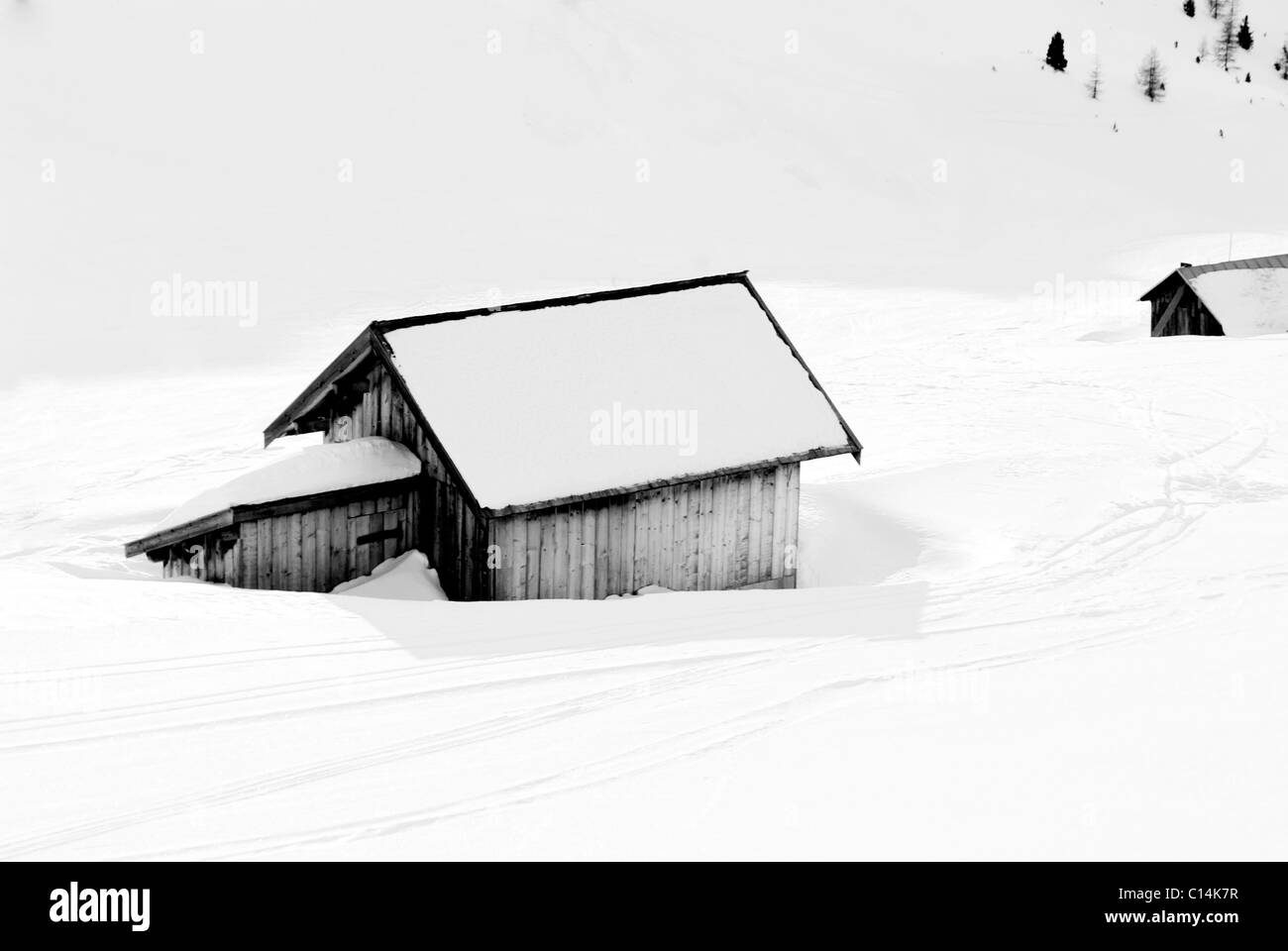 White snow on green Black and White Stock Photos & Images - Alamy